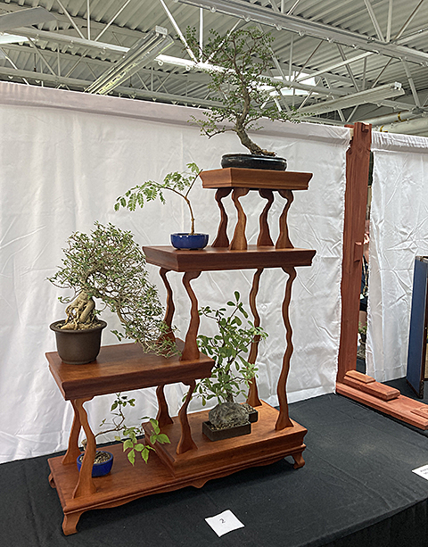 2023 Bonsai Show